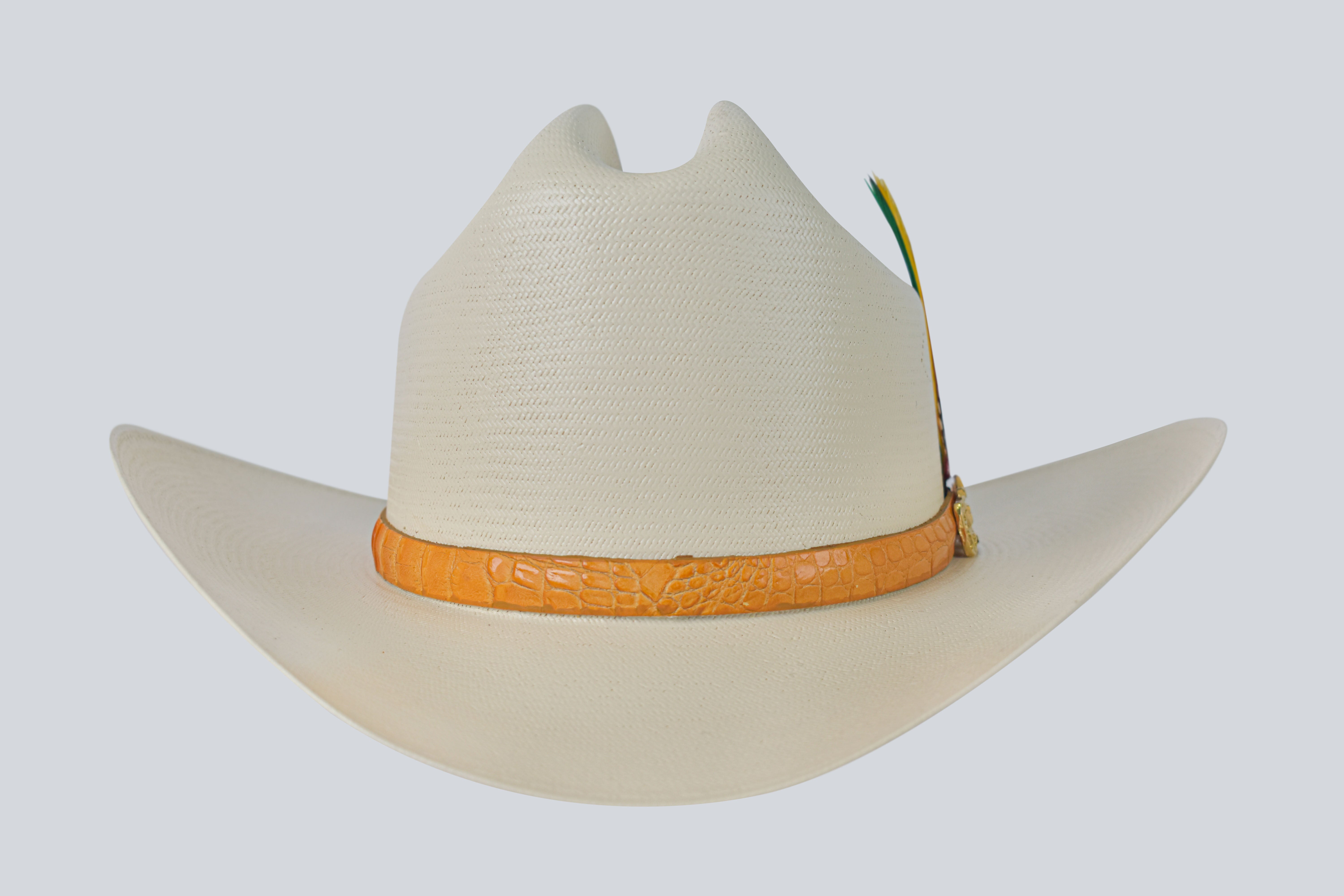 NICOL 1,000X SINALOA F9 – Mi Viejo Oeste